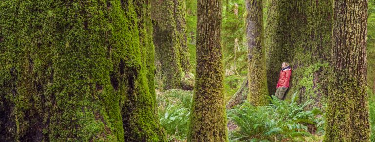 Top 10 B.C. National and Provincial Parks - DiscoverBC.info Blog